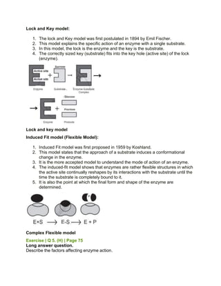 11th chapter 6 biomolecules excercise.pdf