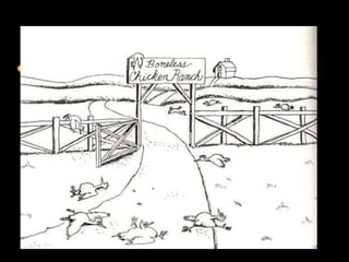 Chapter6 bonesmarieb | PPT | Death, Injury, or Military Conflict ...