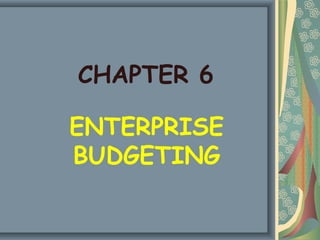 Chapter 6(enterprise budgeting) | PPT