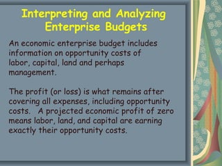 Chapter 6(enterprise budgeting) | PPT
