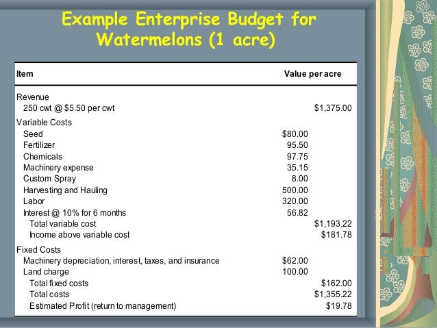 Chapter 6 enterprise Budgeting Chapter 6 enterprise Budgeting