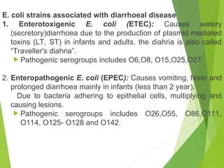 CHAPTER 6 Family Enterobacteriaceae-1.ppt