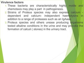 CHAPTER 6 Family Enterobacteriaceae-1.ppt