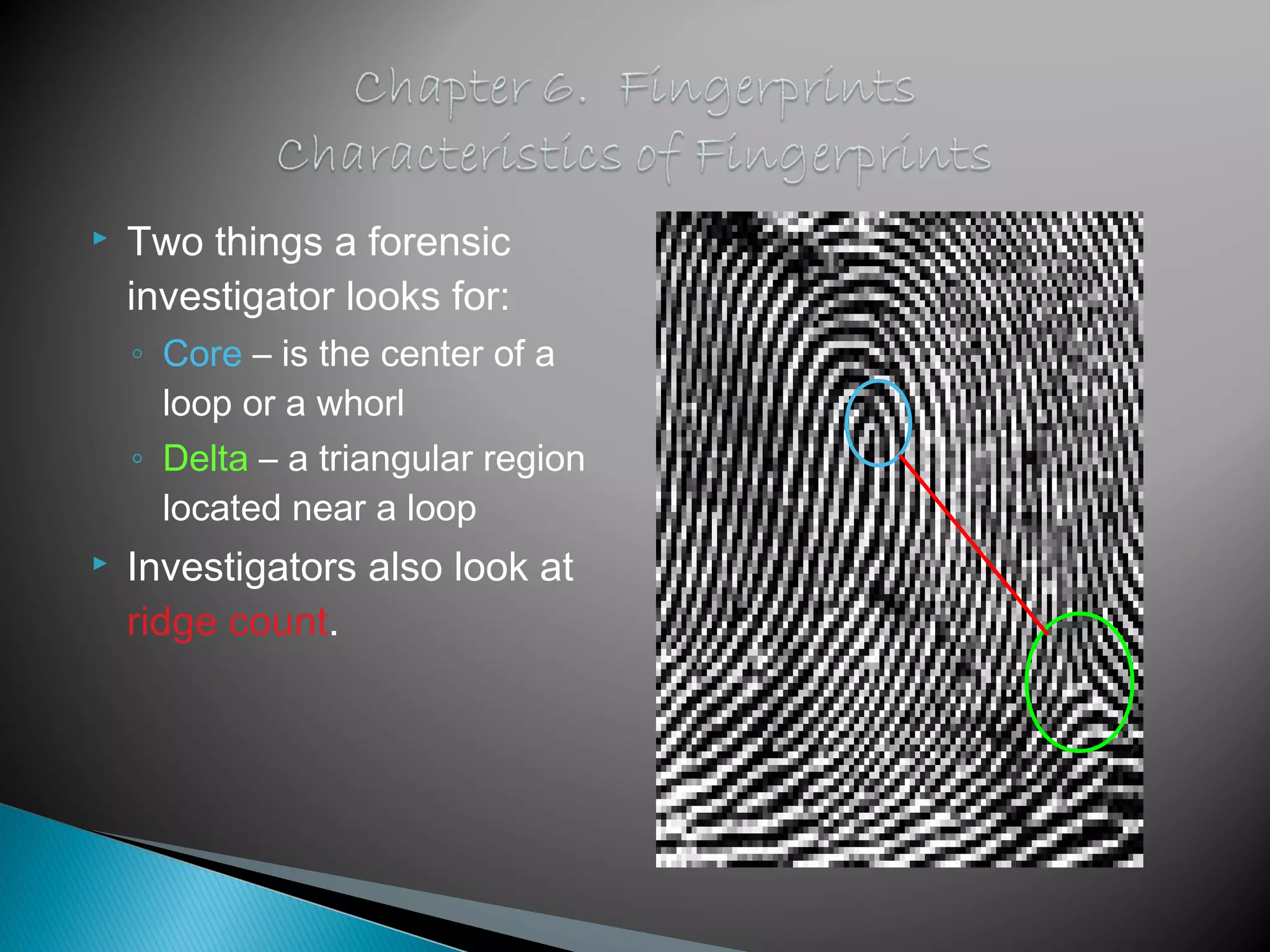 Chapter 6 fingerprints power point | PPT