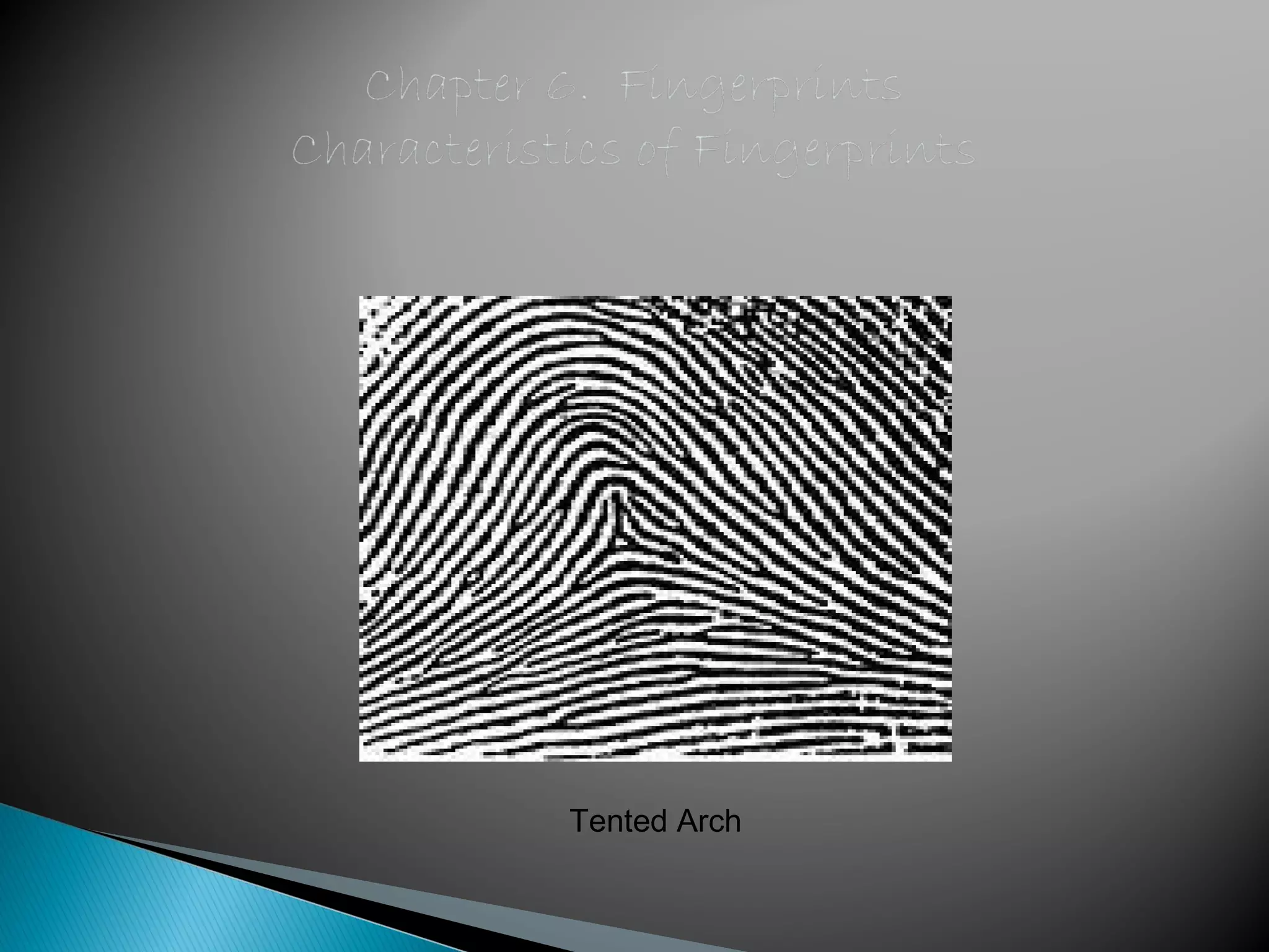 Chapter 6 fingerprints power point | PPT