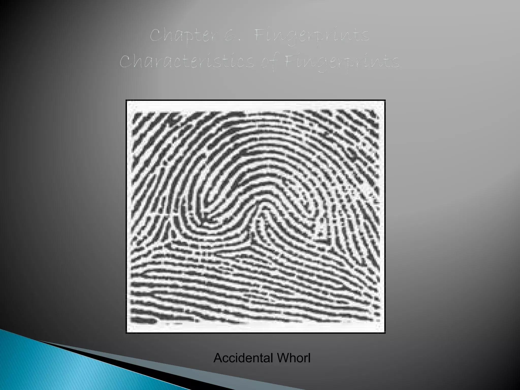 Chapter 6 fingerprints power point | PPT