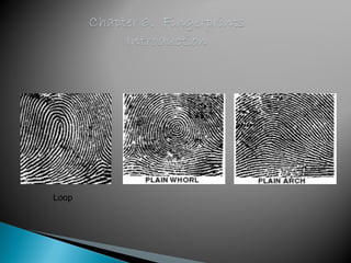 Chapter 6 fingerprints power point | PPT