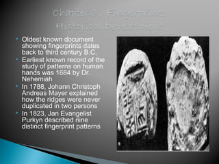 Chapter 6 fingerprints power point | PPT
