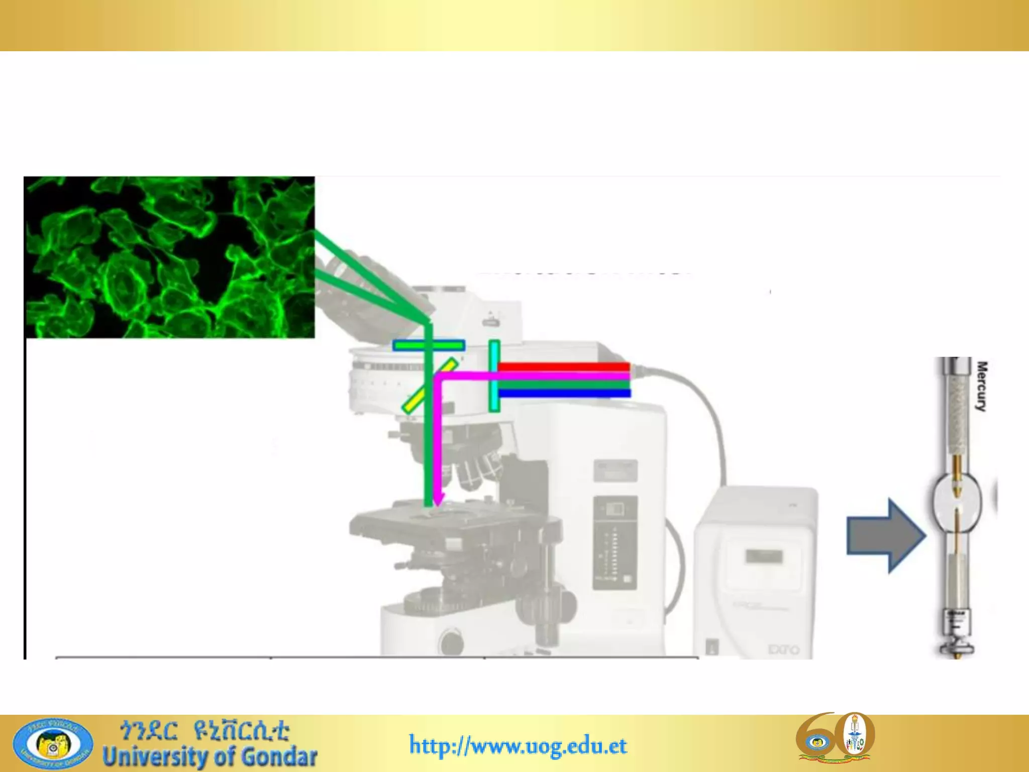 Chapter 6 Fluorescence Microscopy.ppt