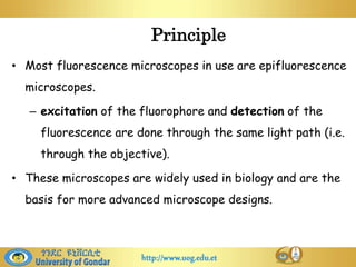 Chapter 6 Fluorescence Microscopy.ppt