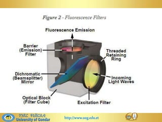 Chapter 6 Fluorescence Microscopy.ppt