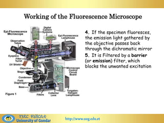Chapter 6 Fluorescence Microscopy.ppt