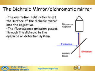 Chapter 6 Fluorescence Microscopy.ppt