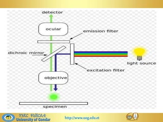 Chapter 6 Fluorescence Microscopy.ppt