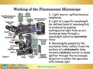 Chapter 6 Fluorescence Microscopy.ppt