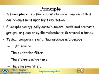Chapter 6 Fluorescence Microscopy.ppt