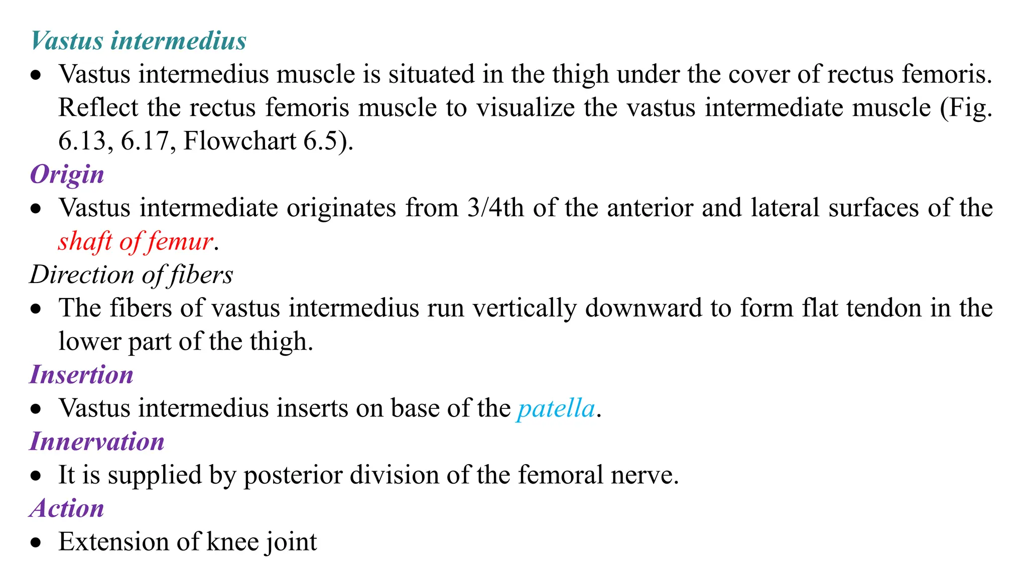 Chapter 6 Front of the thigh I Fascia and Muscles.pptx