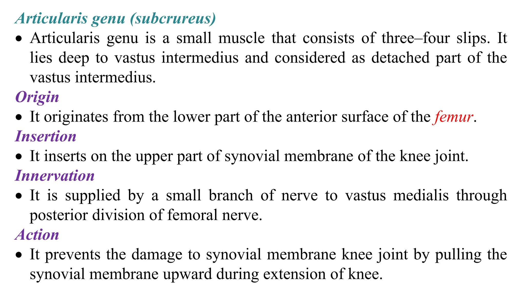 Chapter 6 Front of the thigh I Fascia and Muscles.pptx