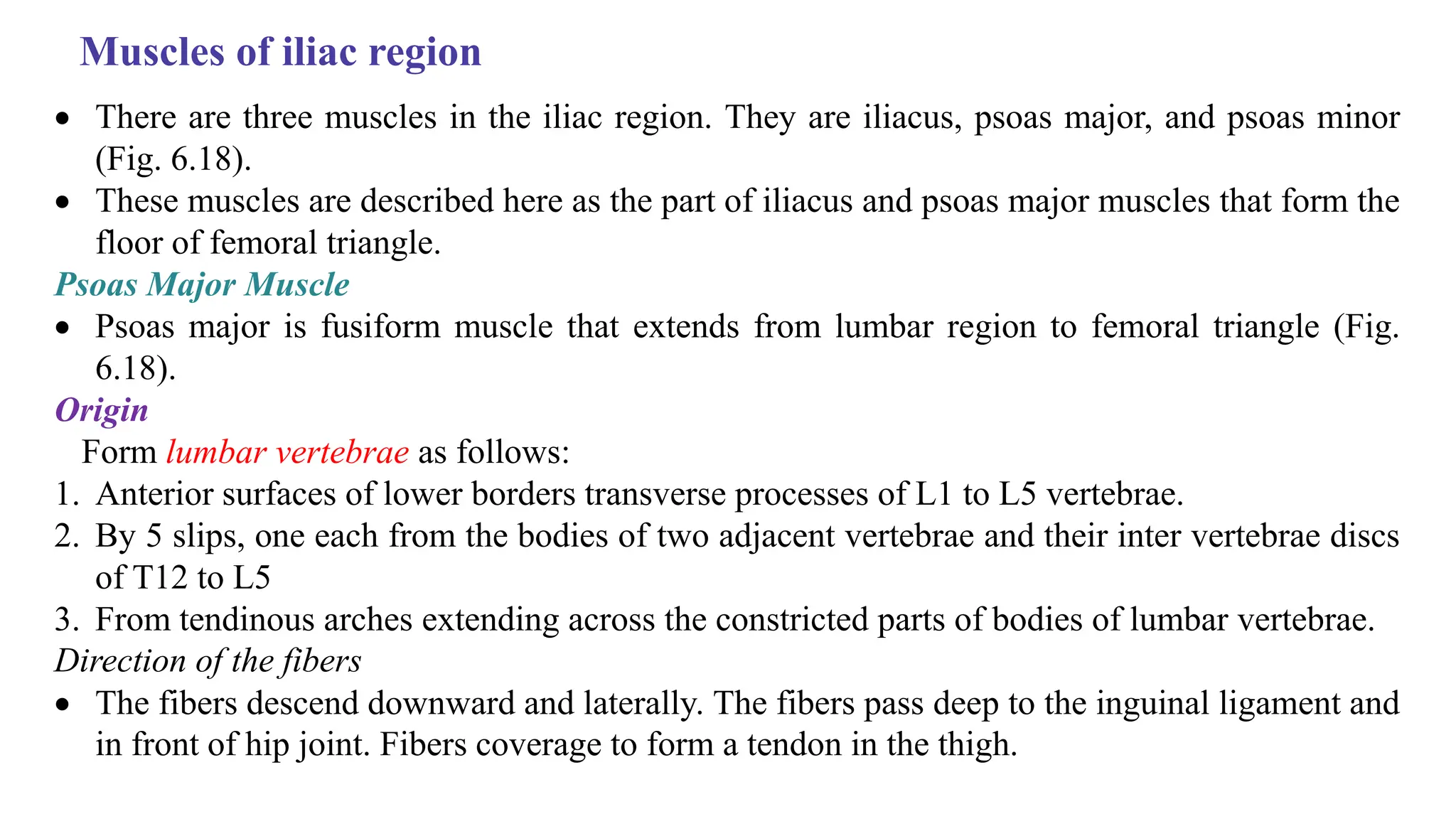 Chapter 6 Front of the thigh I Fascia and Muscles.pptx