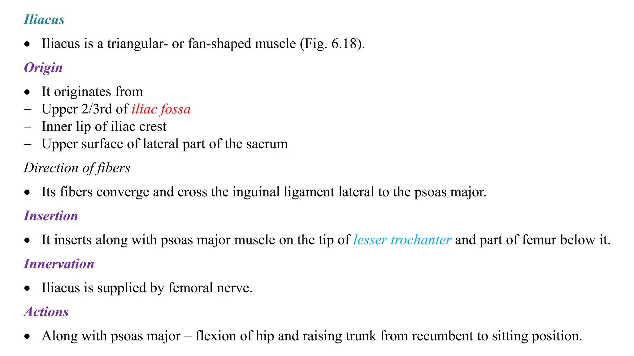 Chapter 6 Front of the thigh I Fascia and Muscles.pptx