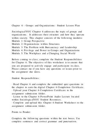 Chapter 6 – Groups and Organizations Student Lesson PlanS | PDF