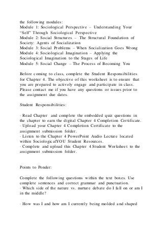 Chapter 6 – Groups and Organizations Student Lesson PlanS | PDF