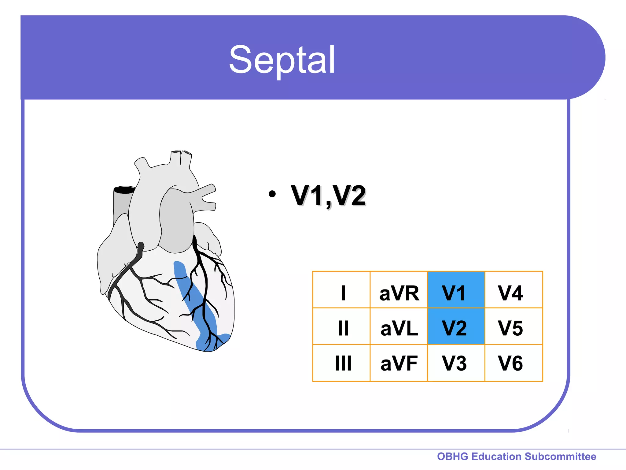 Chapter 6 - Introduction to 12 Lead Interpretation | PPT