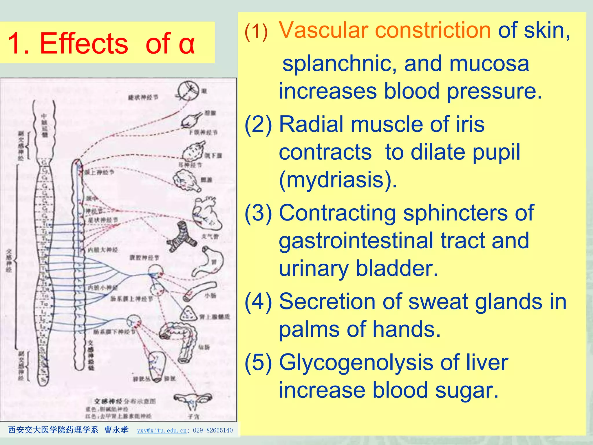 Chapter 6 Introduction to autonomic Pharmacology.ppt