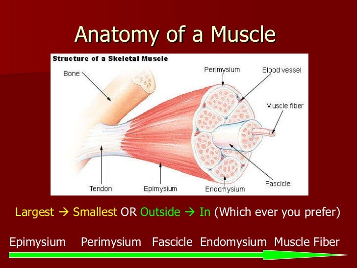 Chapter 6 Lecture 1 Chapter 6 Lecture 1