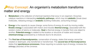 Biology Text Chapter 6 Lecture Slideshow | PDF