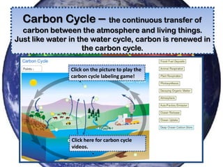 Chapter 6, Lesson 4 - Ecosystems | PPTX