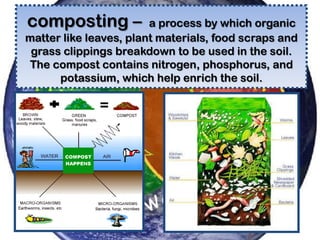 Chapter 6, Lesson 4 - Ecosystems | PPTX