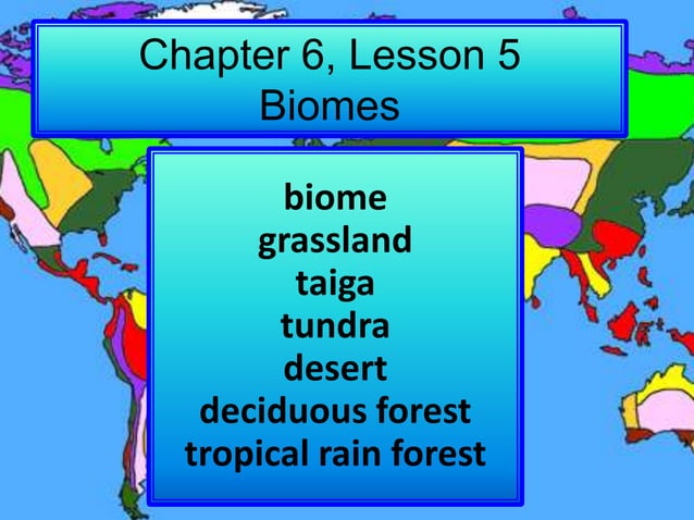 Chapter 6, lesson 5 | PPT
