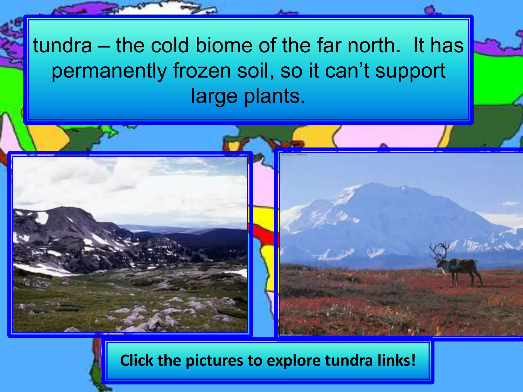 Chapter 6, Lesson 5 - Biomes | PPTX
