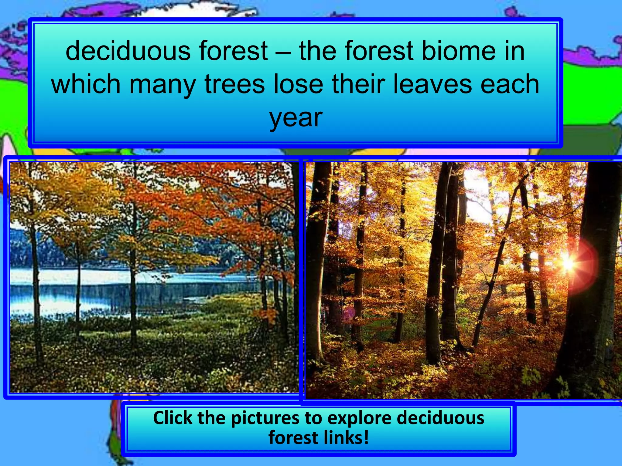 Chapter 6, Lesson 5 - Biomes | PPT