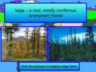 Chapter 6, Lesson 5 - Biomes | PPTX