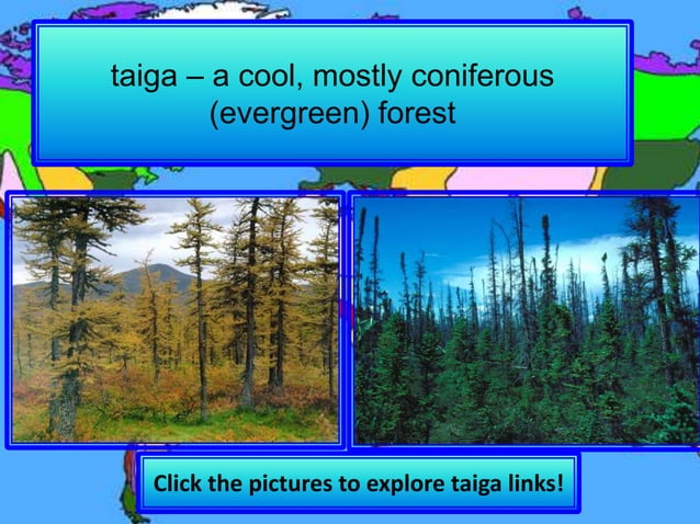 Chapter 6, Lesson 5 - Biomes | PPT