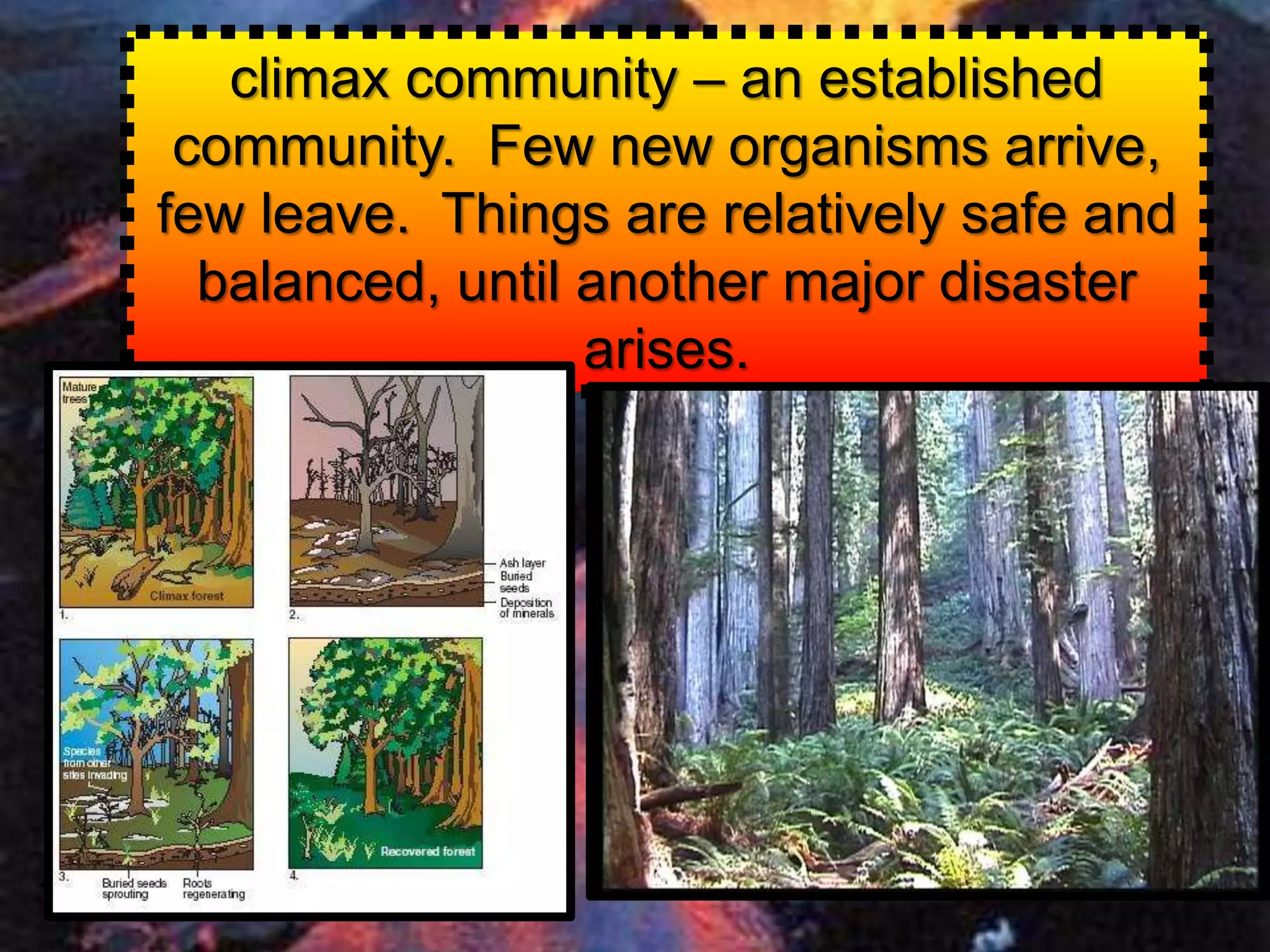 Chapter 6, Lesson 6 - How Ecosystems Change | PPTX