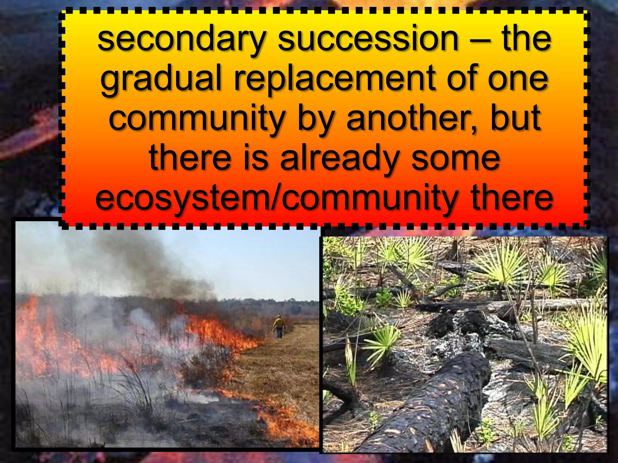 Chapter 6, Lesson 6 - How Ecosystems Change | PPTX