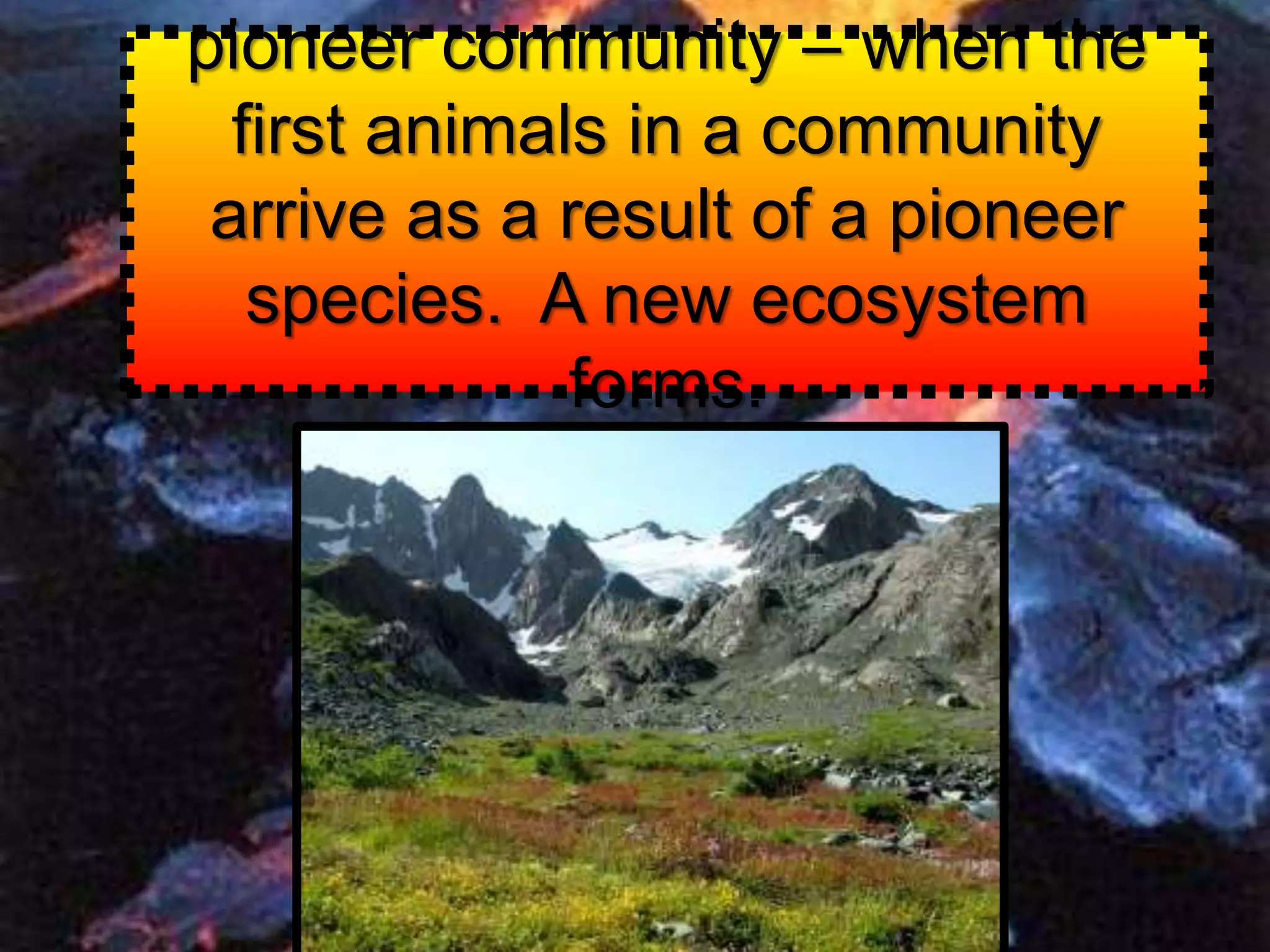 Chapter 6, Lesson 6 - How Ecosystems Change | PPTX