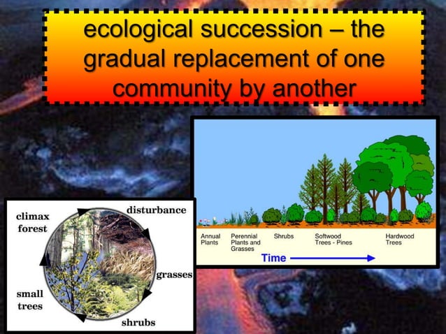Chapter 6, Lesson 6 - How Ecosystems Change | PPTX