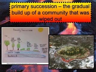 Chapter 6, Lesson 6 - How Ecosystems Change | PPTX