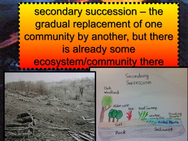 Chapter 6, Lesson 6 - How Ecosystems Change | PPT