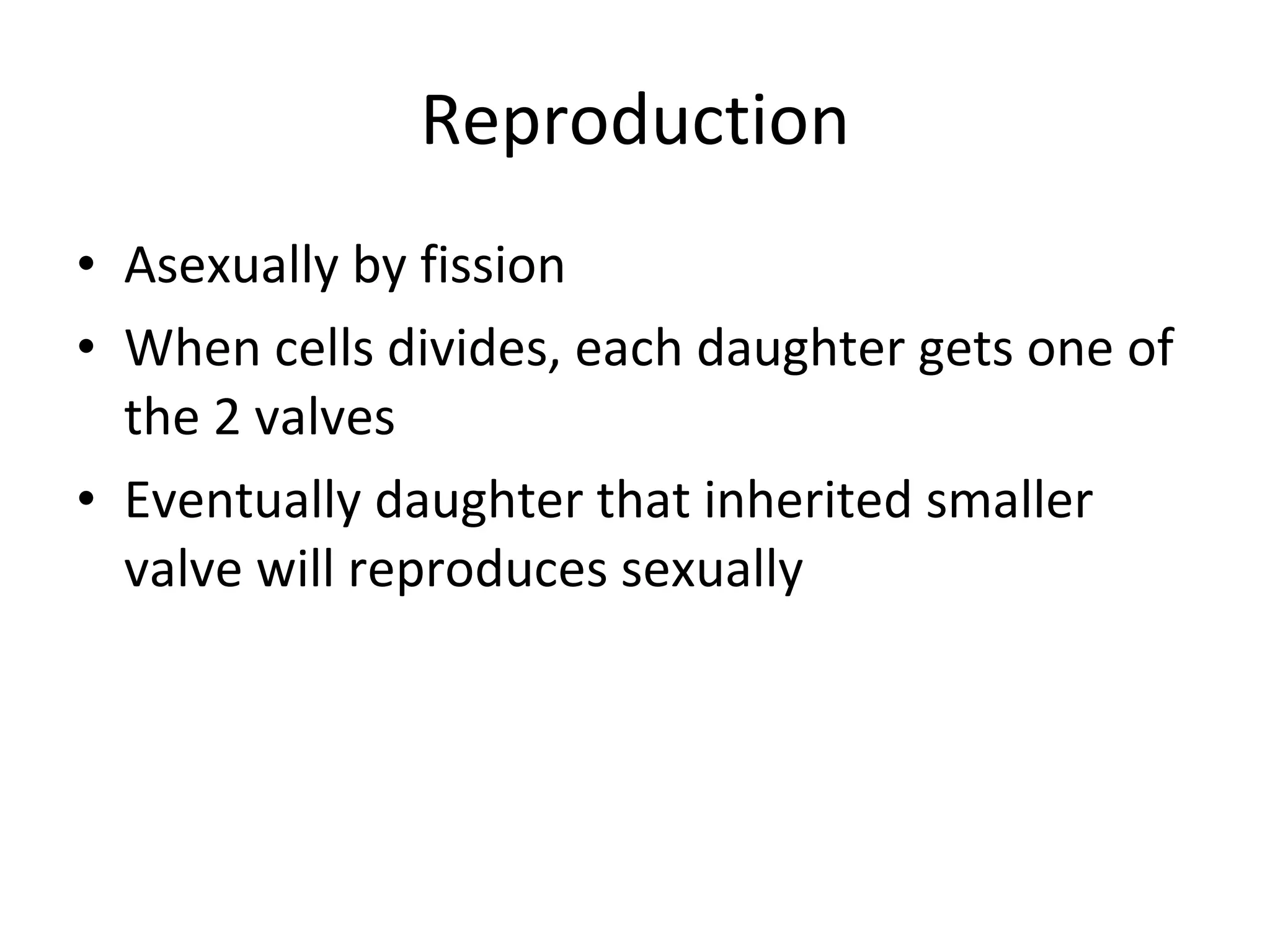 Chapter 6 marine microbes | PPT