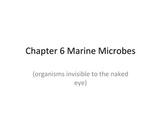 Chapter 6 marine microbes | PPT