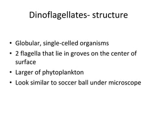 Chapter 6 marine microbes | PPT