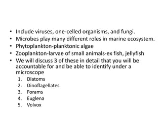 Chapter 6 marine microbes | PPT