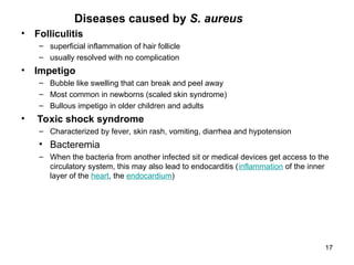 Chapter 6 Medical microbiology undergraduate 222.ppt