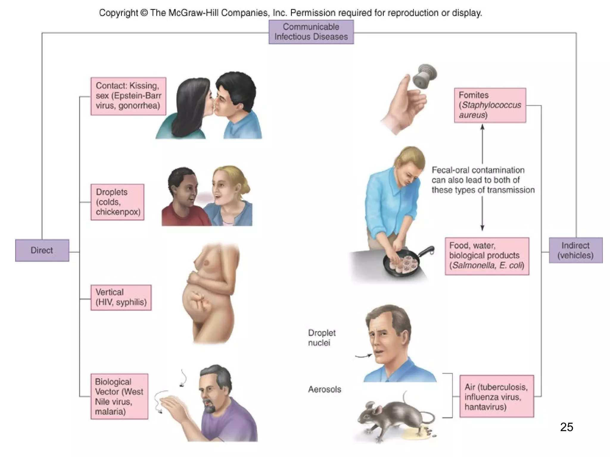 Chapter 6 microbe human interaction | PPT