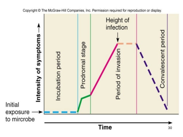 Chapter 6 microbe human interaction
